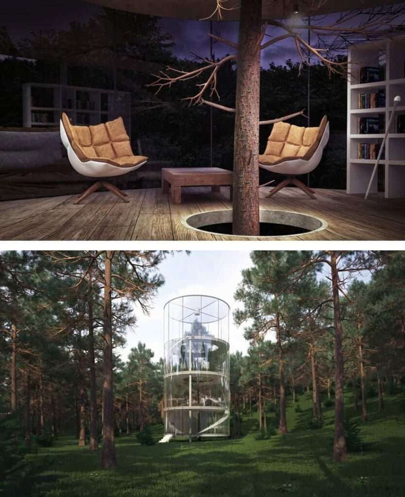 15 edificios donde los arquitectos respetaron los árboles en su ...