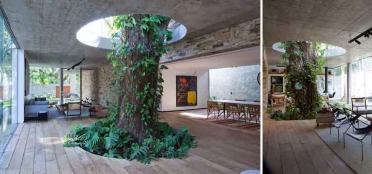 15 edificios donde los arquitectos respetaron los árboles en su ...